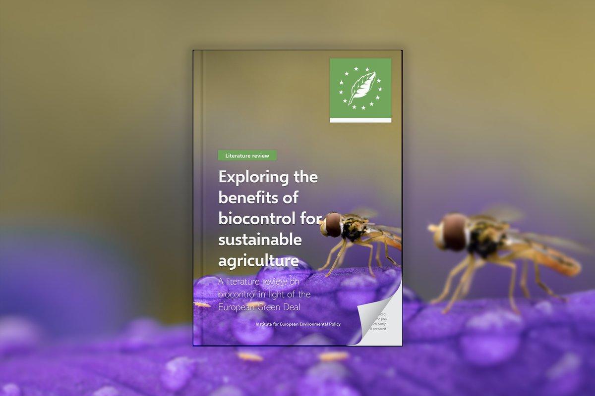 Exploring the benefits of biocontrol for sustainable agriculture - IEEP UK
