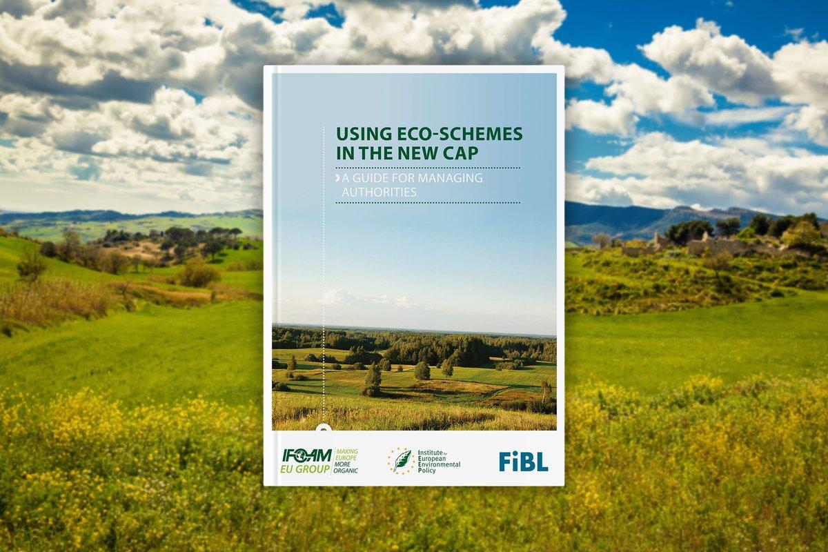 Guide to Eco-schemes in the new CAP: Opportunities and challenges for ...