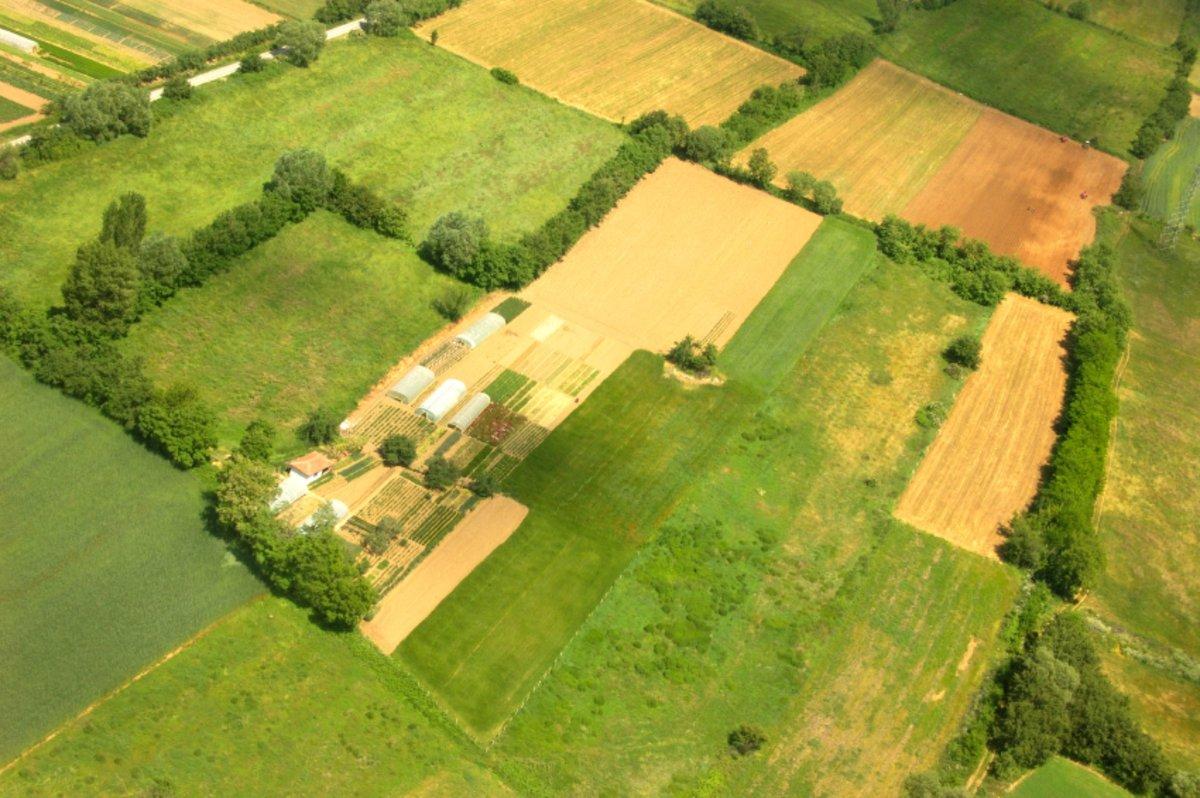 Land use mapping for sustainable biofuels - IEEP UK