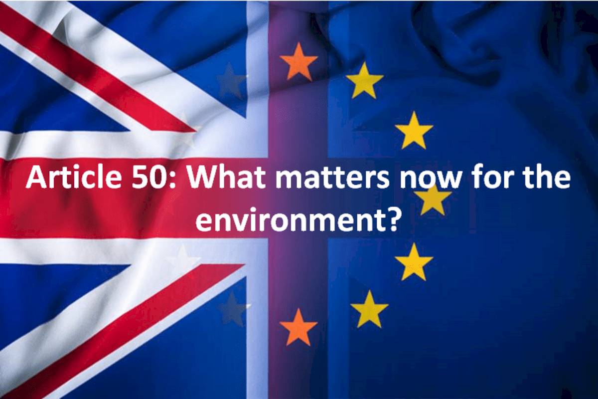 Article 50: What matters now for the environment? - IEEP UK