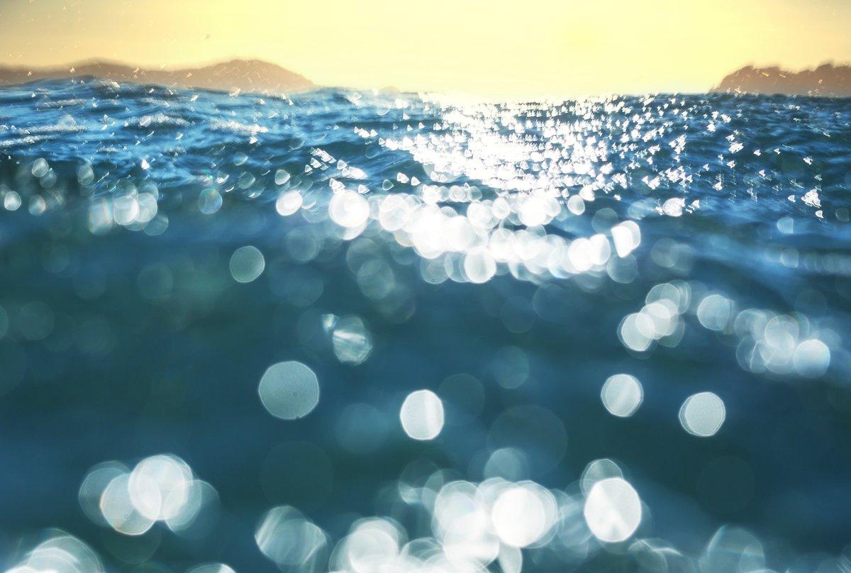 Nigel Haigh explores concepts and principles in EU environmental policy ...