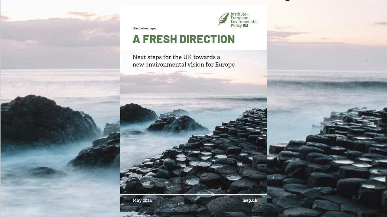 [Discussion Paper] A Fresh Direction: Next steps for the UK towards a ...