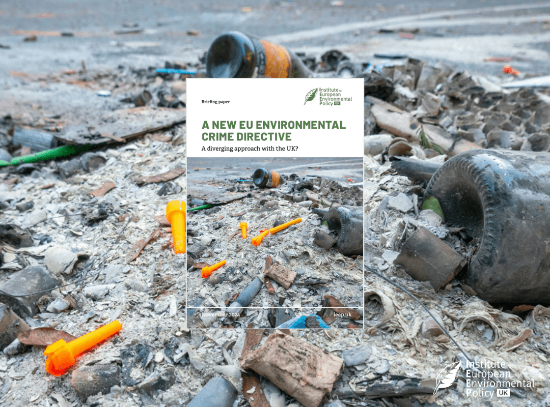 [Briefing] The new EU Environmental Crime Directive: A diverging ...