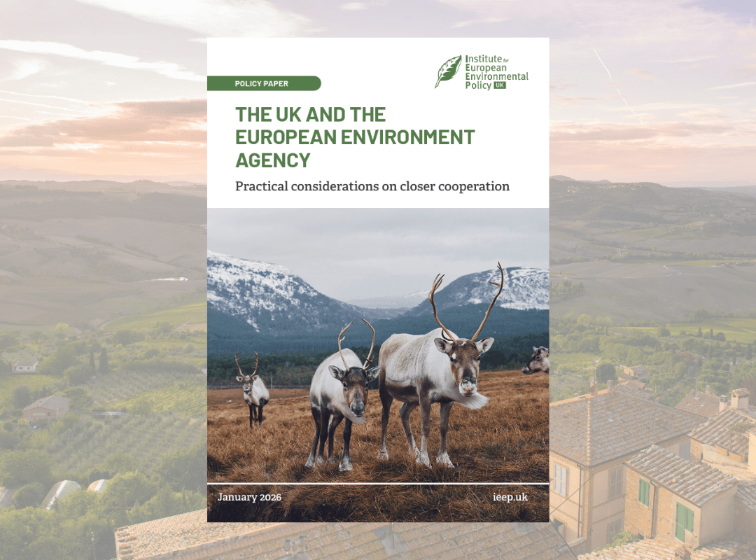 [Report] The UK and the European Environment Agency: Practical ...
